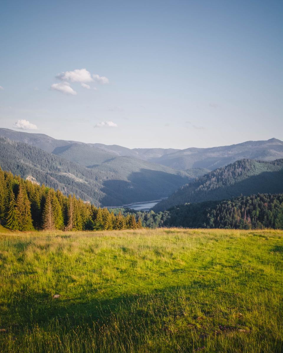 Services – Blowing Rock Property Services